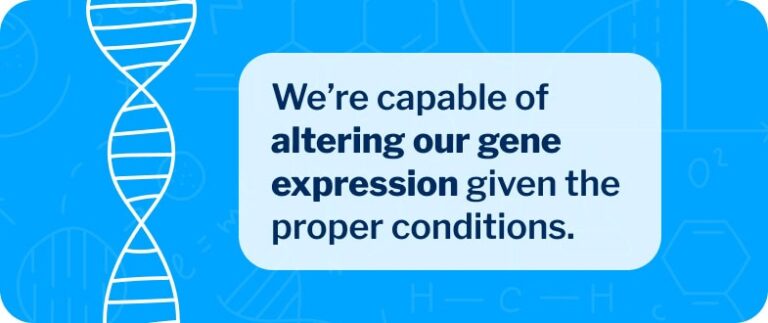 Counterclockwise Study: The Science Behind Mindset and Ageing