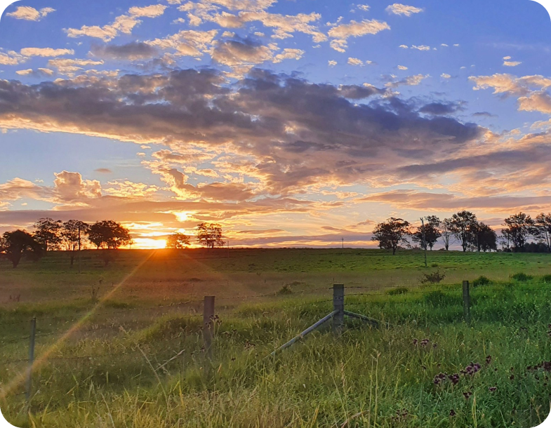 Rural Home Care: Access, Innovations, and an Evolving Narrative