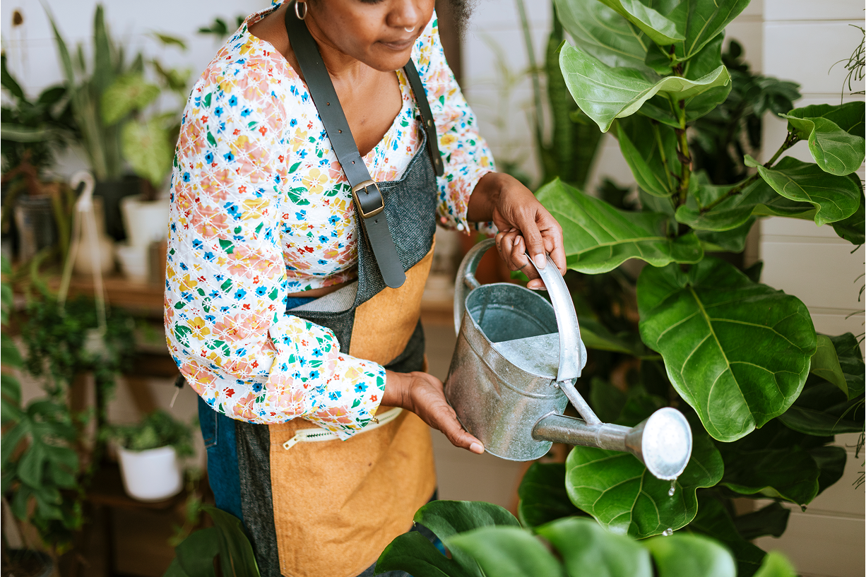 Professional Gardening Services for Home Care Recipients